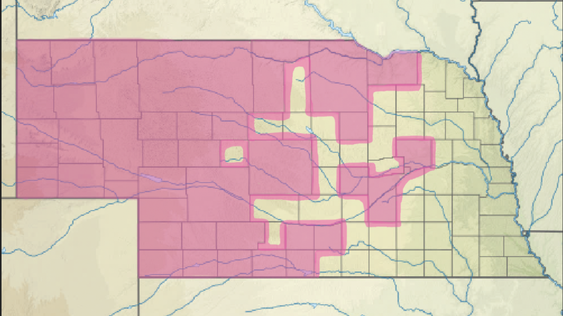 Plains Hognose snake | Amphibians, Turtles & Reptiles of Nebraska | Nebraska